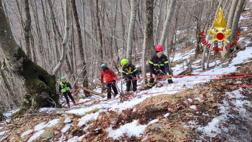 Garfagnana, scomparso da 4 giorni trovato morto nell'auto in fondo a un ...