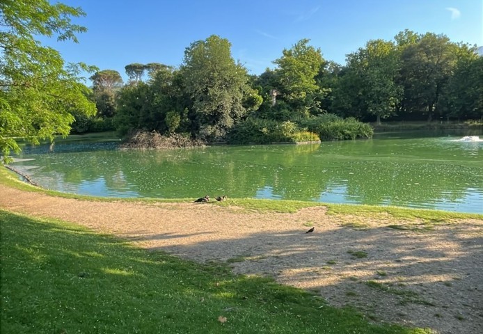 Lago del parco Puccini: servono interventi urgenti e strutturali ...